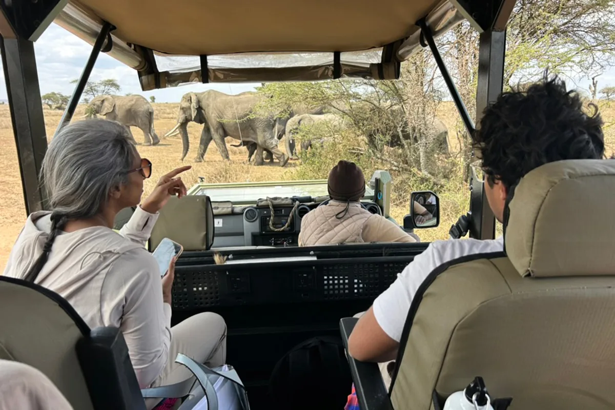 Travel review: Serengeti Surprise - CEO Middle East